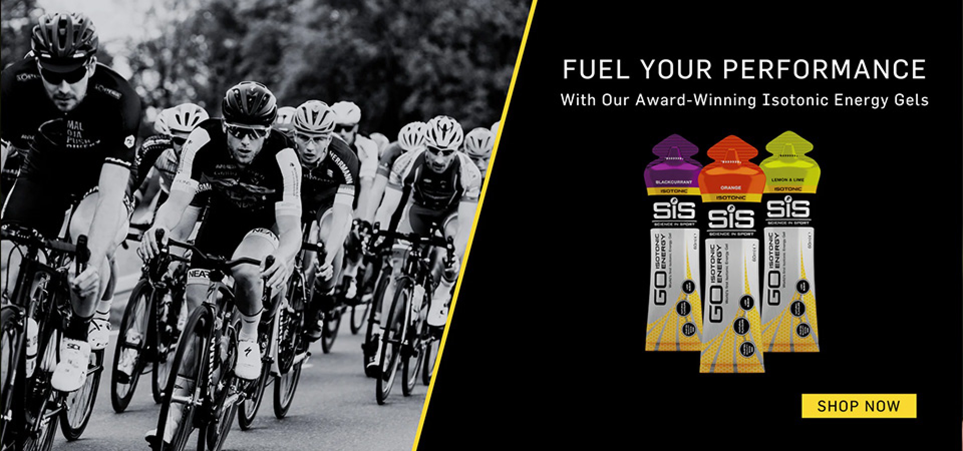 SiS Endurance & Recovery Supplements
